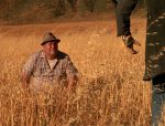 Blu-ray Review: DARK NIGHT OF THE SCARECROW (1981) - cinematic randomness
