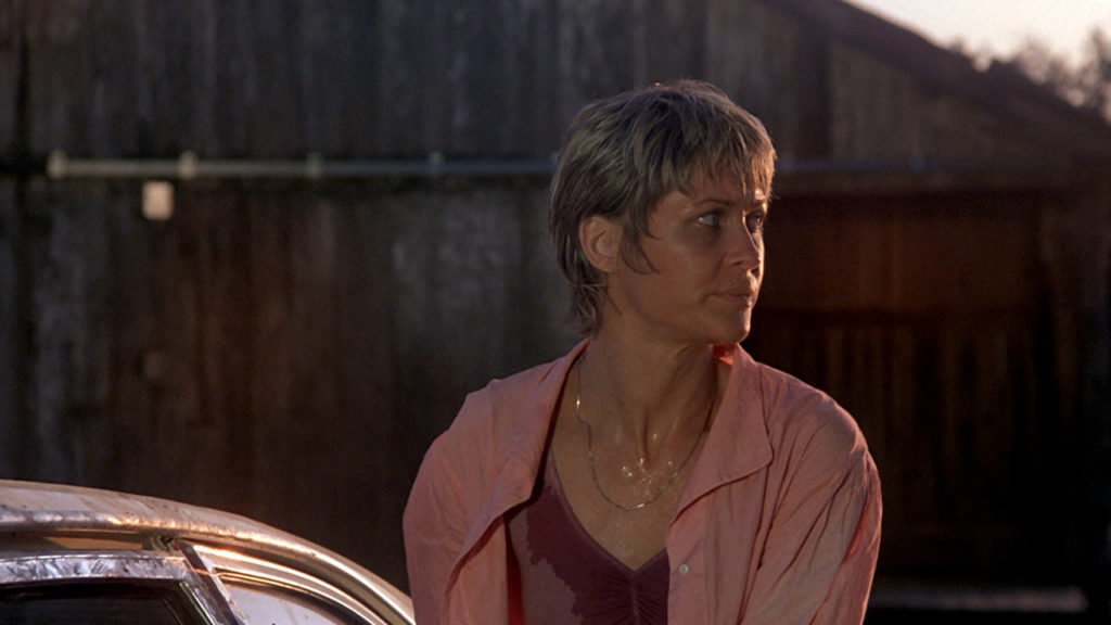 Blu-ray Review: CUJO (1983) - cinematic randomness