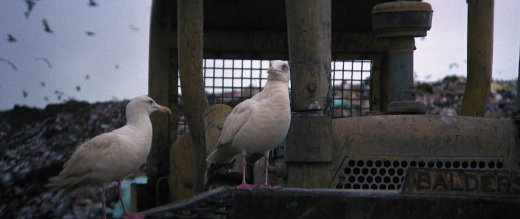 Blu-ray Review: JONATHAN LIVINGSTON SEAGULL (1973)